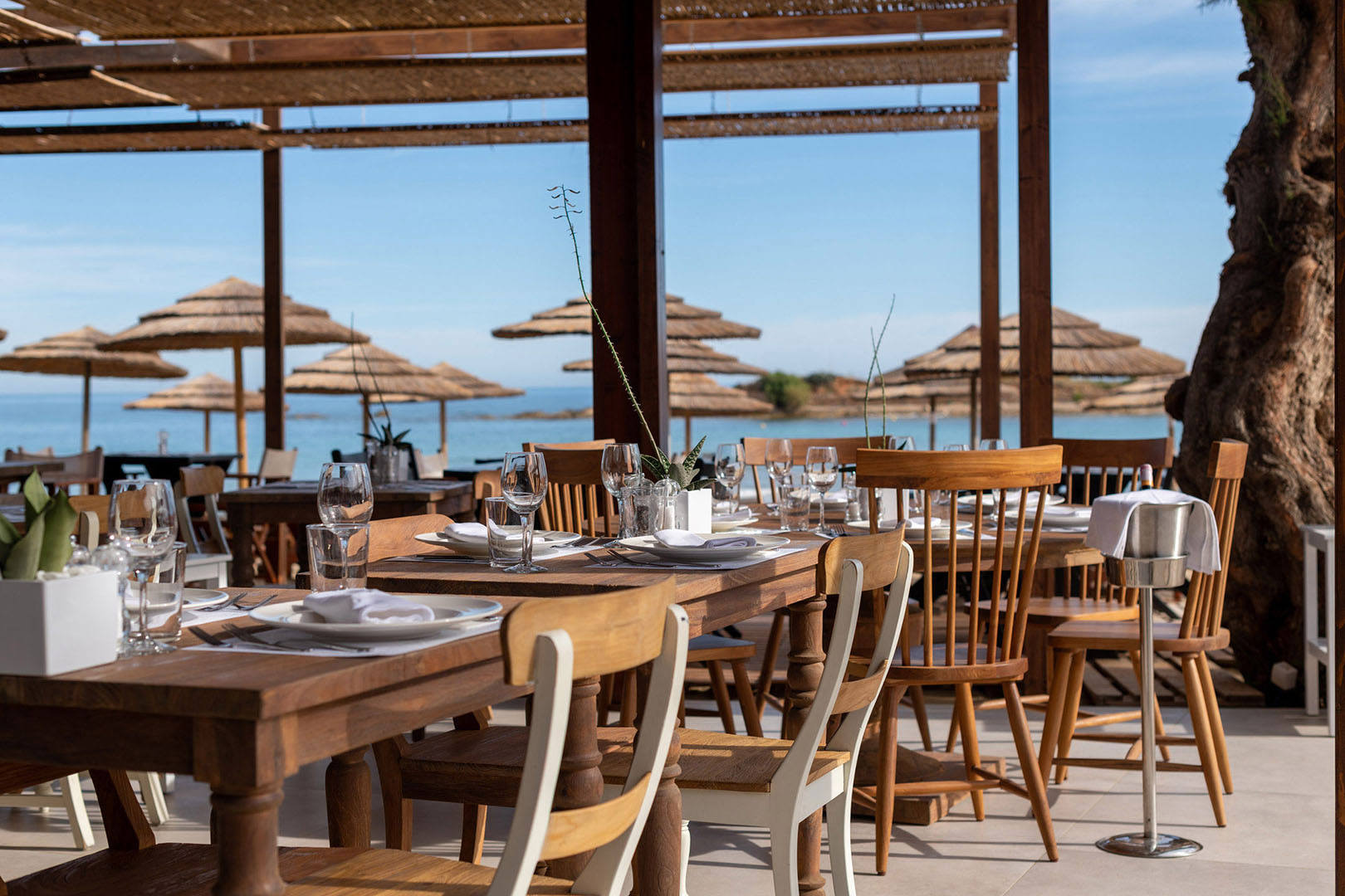 Elia Restaurant Malia, Crete - Modern Cretan Cuisine